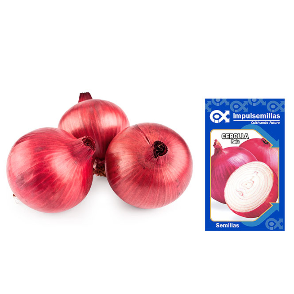 Cebolla Roja – IMPULSEMILLAS