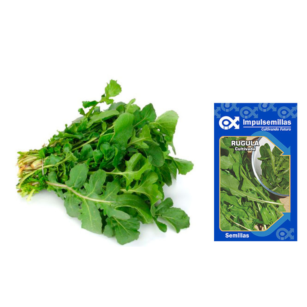 Rugula – IMPULSEMILLAS